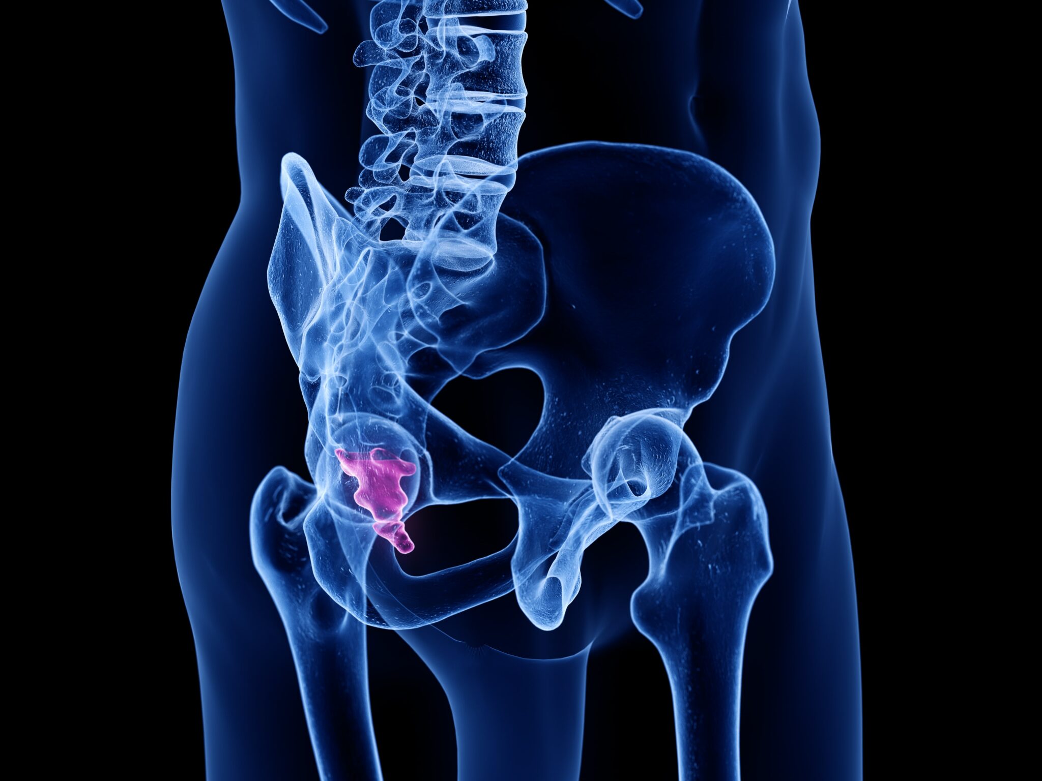 Things You Didn't Know About Your Tailbone | New Jersey | Comprehensive ...