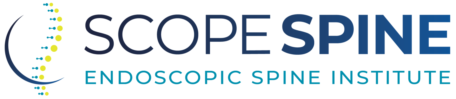 What is a Spinal Disc? | ScopeSpine | Virginia | Maryland