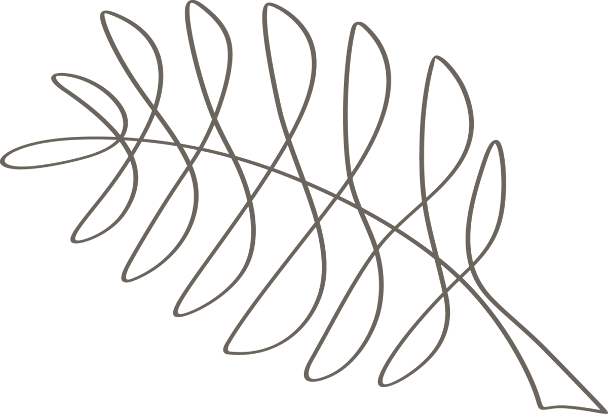 Narsimha Gottam, MD | Nithin Gottam, MD | Detroit Cardiologist