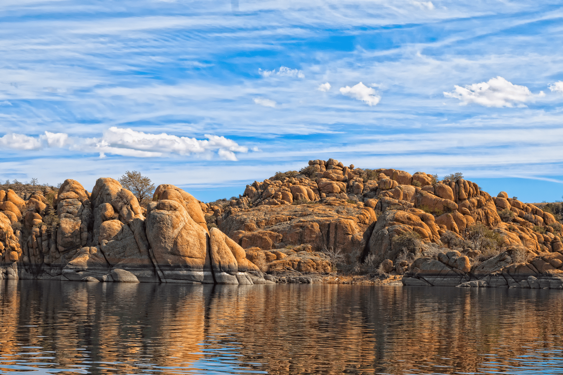 Contact Us | Prescott, AZ | Ellen F Bunch MD PLLC